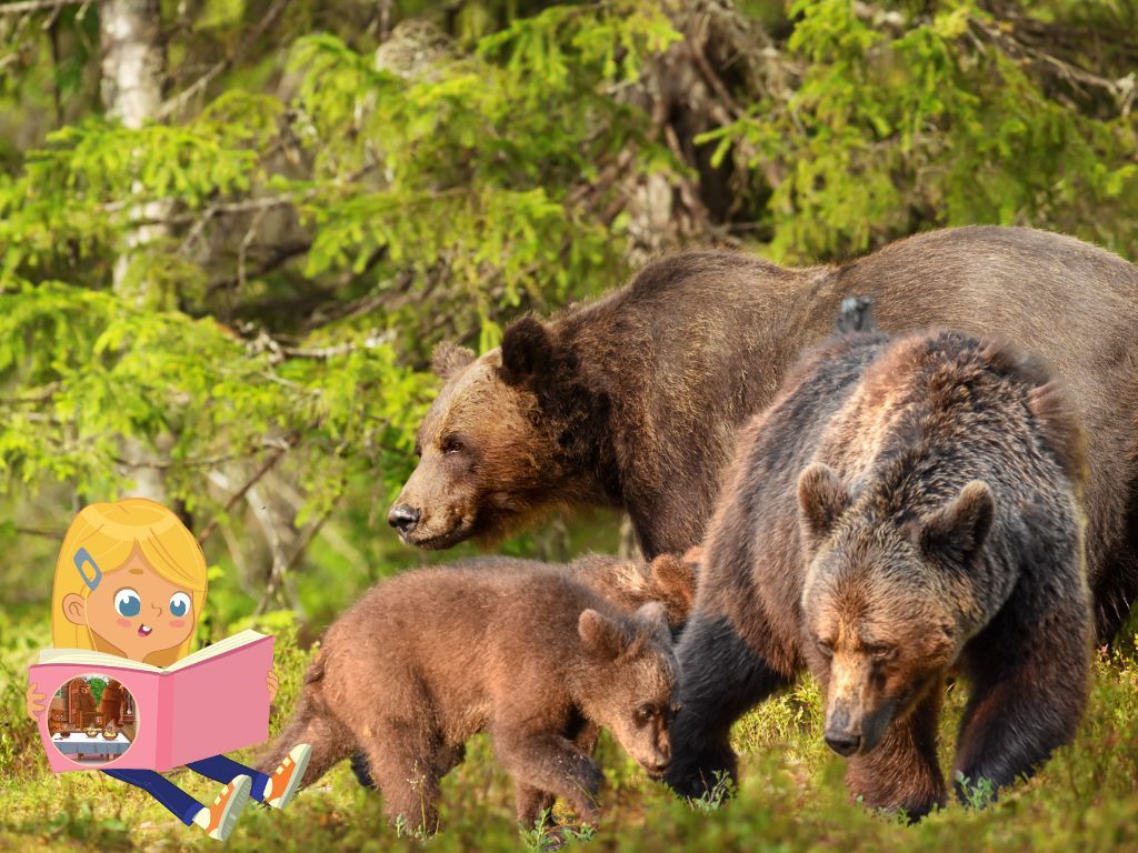 Overfitting and Underfitting: The Goldilocks Principle of Machine Learning Overfitting and Underfitting: The Goldilocks Principle of Machine Learning